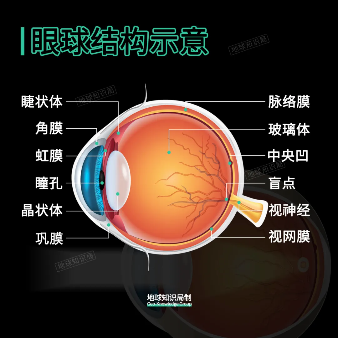China’s 1.4 Billion Population: 700 Million Nearsighted? - Collagen ...